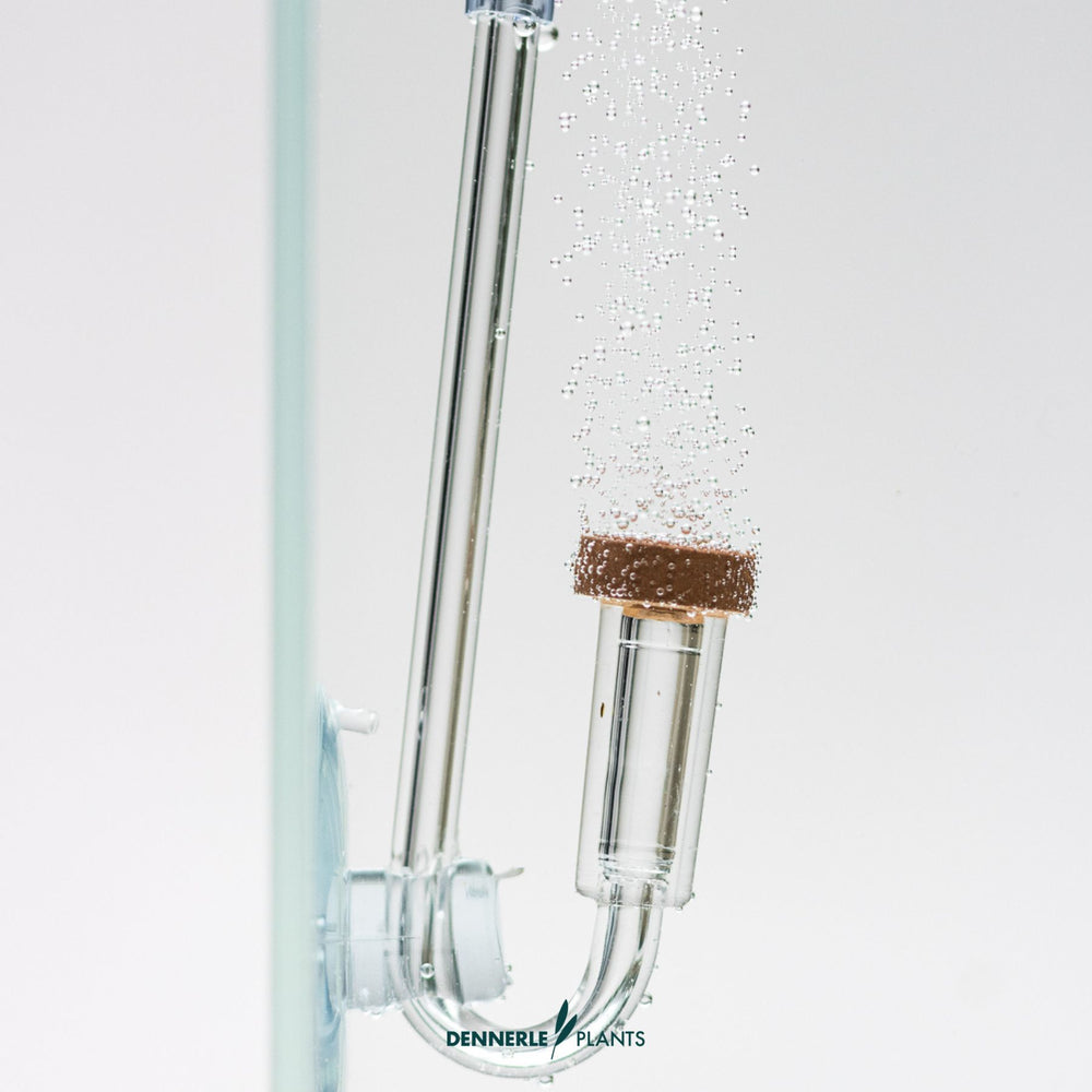 CO2 Starter Kit | Dennerle Plants UK